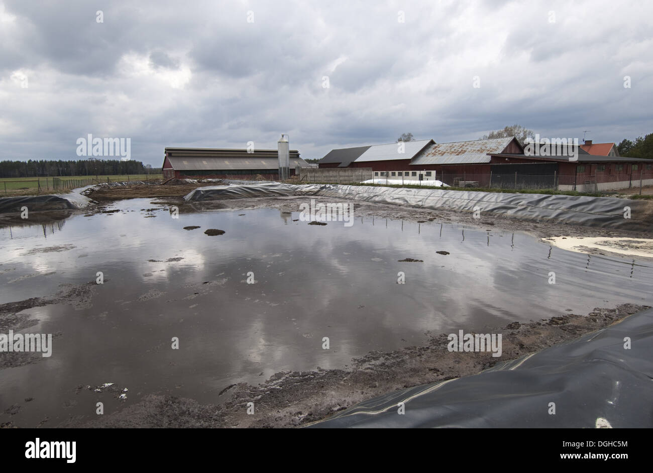 Slurry pond and farm buildings hi-res stock photography and images - Alamy