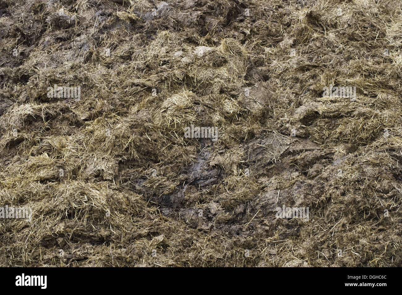 Dung Heaps Stock Photos & Dung Heaps Stock Images - Alamy