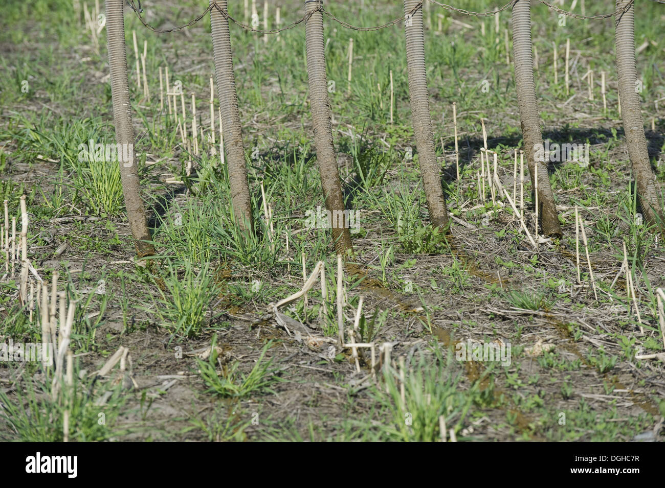 Samson vacuum slurry tanker and slurry injector, pipes injecting slurry ...