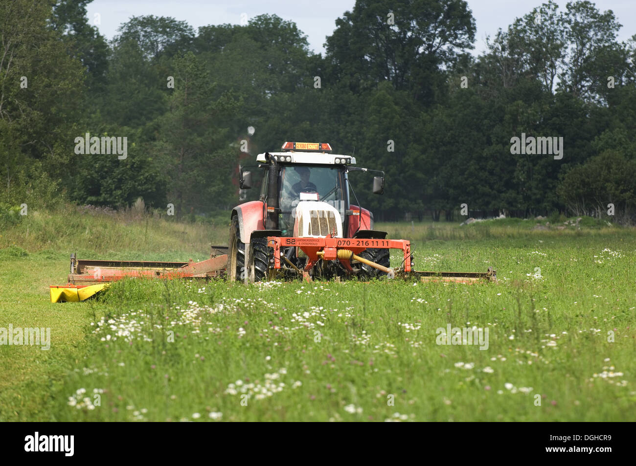 Mowing silage grass with Steyr tractor and Fella front and rear mounted ...