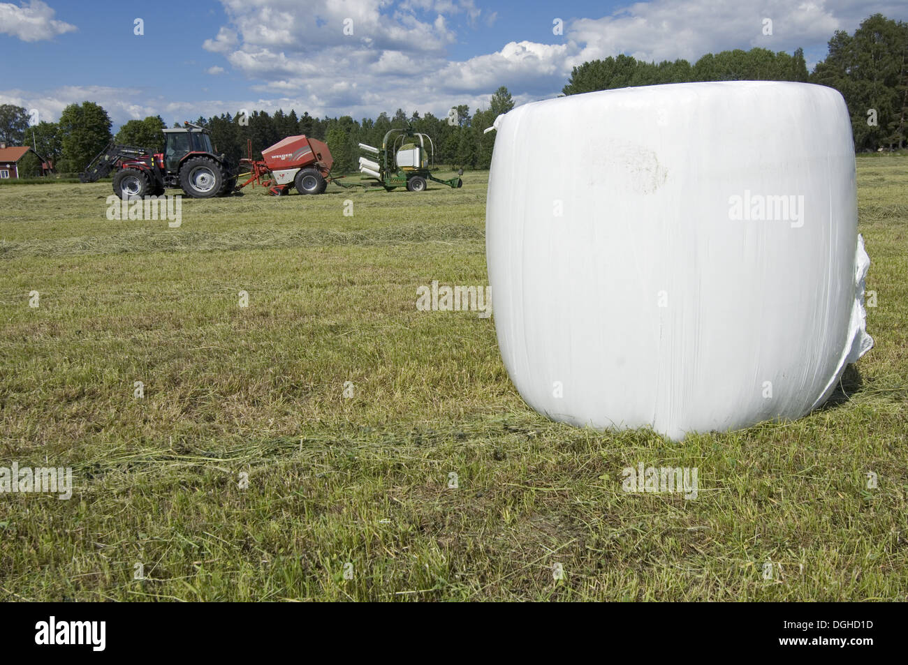 Plastic wrapped round silage bale in field, tractor with baler and ...