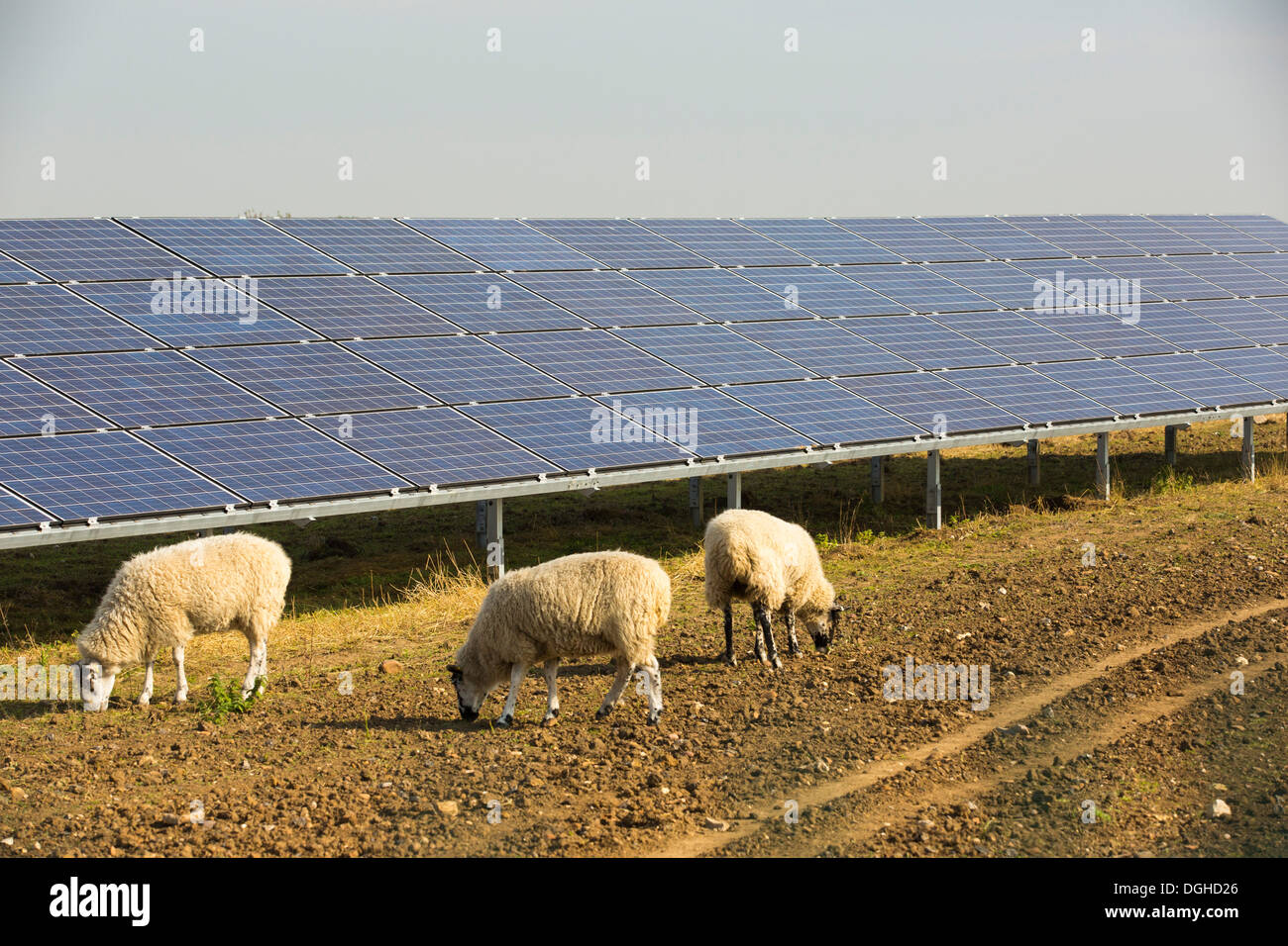 Wymeswold Solar Farm the largest solar farm in the UK at 34 MWp, based ...