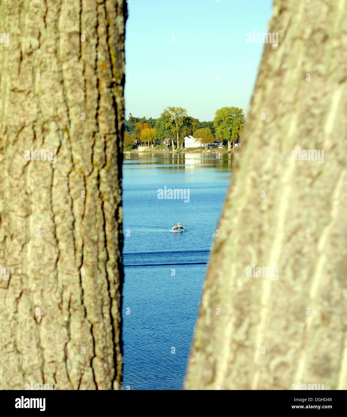 Two trees hi-res stock photography and images - Alamy