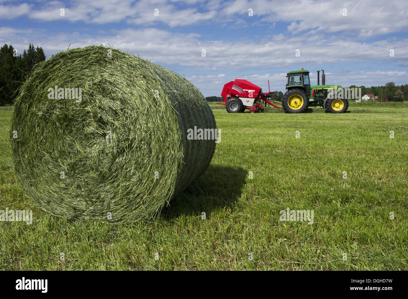 Round silage bale, with John Deere 4455 tractor and Welger baler ...