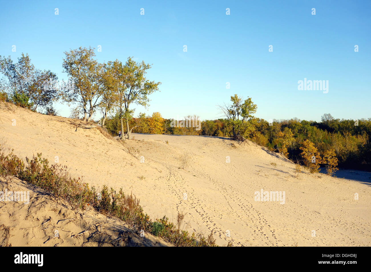 Sand dunes at the Sandbanks Provincial Park in Ontario, Canada Stock ...