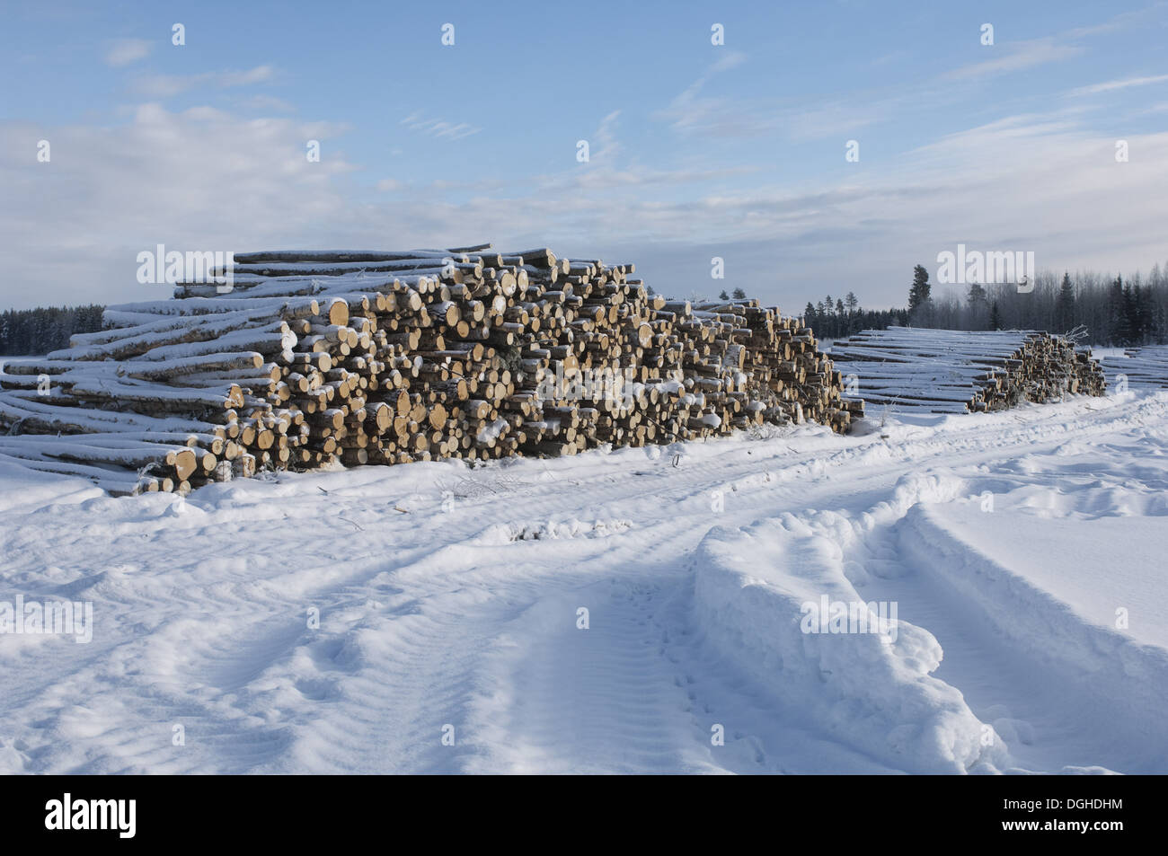 Pile of wood sweden hi-res stock photography and images - Alamy