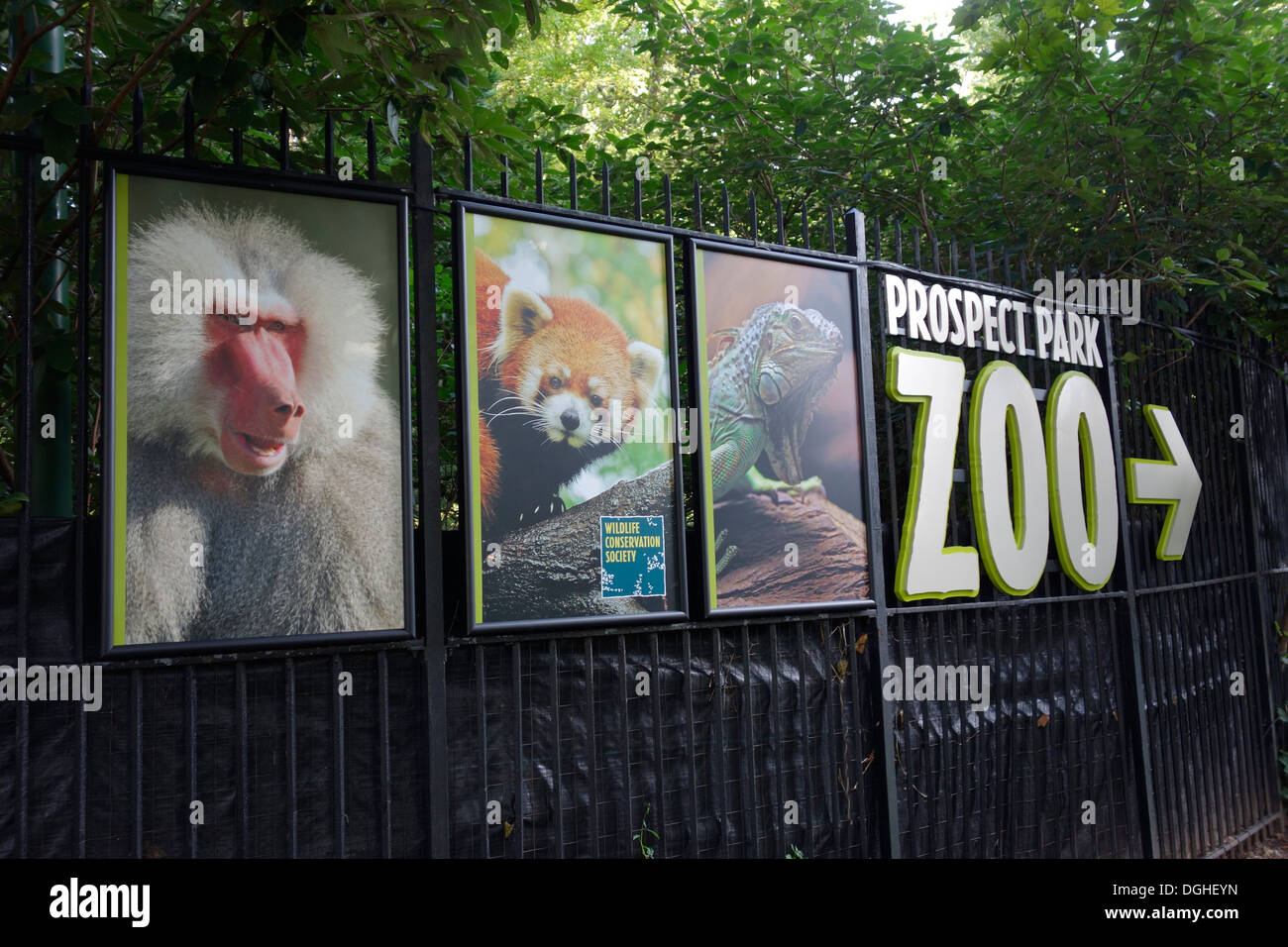 Prospect park zoo new york hi-res stock photography and images - Alamy