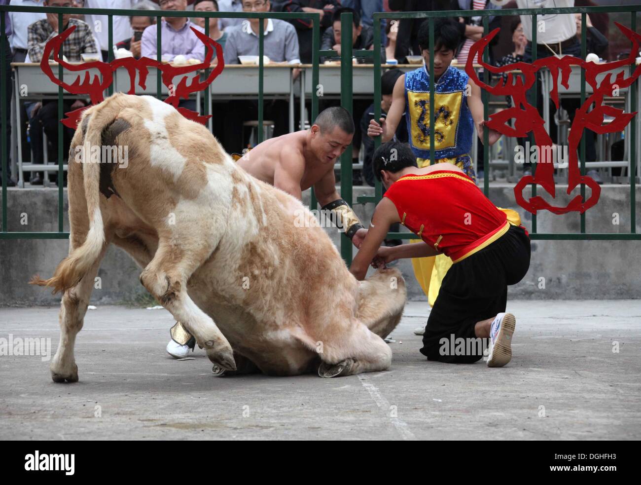 A man fights with a bull during a traditional game of ethnic Hui ...