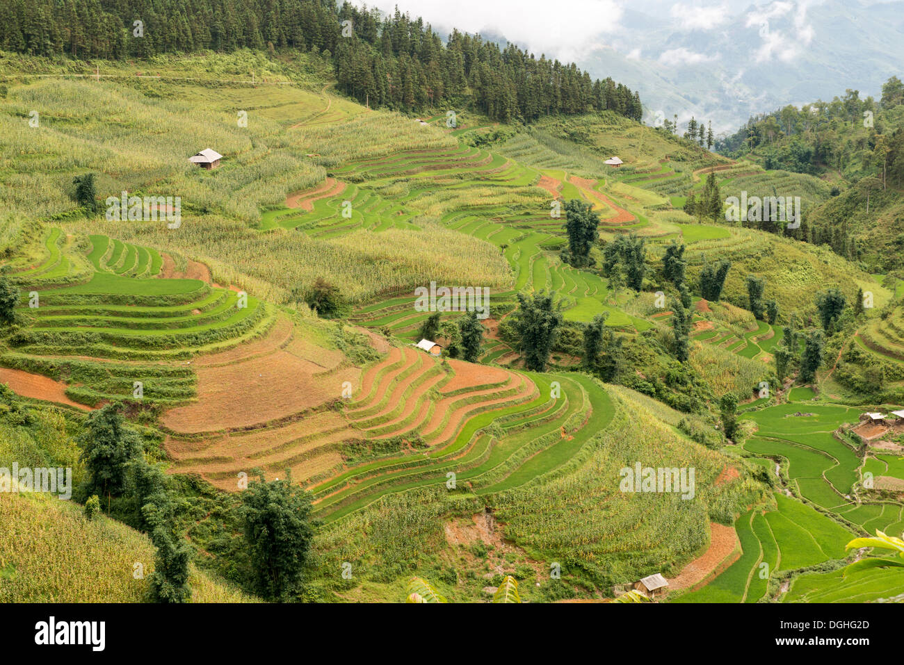 Landscape of Bac Ha , Lao Cai, Vietnam Stock Photo - Alamy