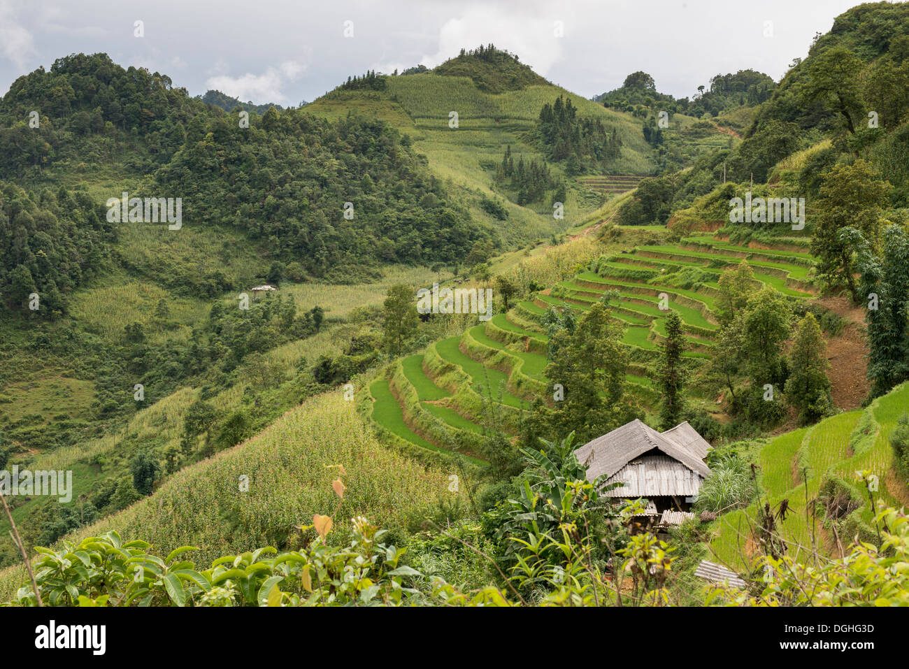 Landscape of Bac Ha , Lao Cai, Vietnam Stock Photo - Alamy