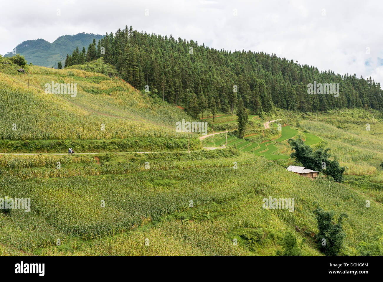 Landscape of Bac Ha , Lao Cai, Vietnam Stock Photo - Alamy
