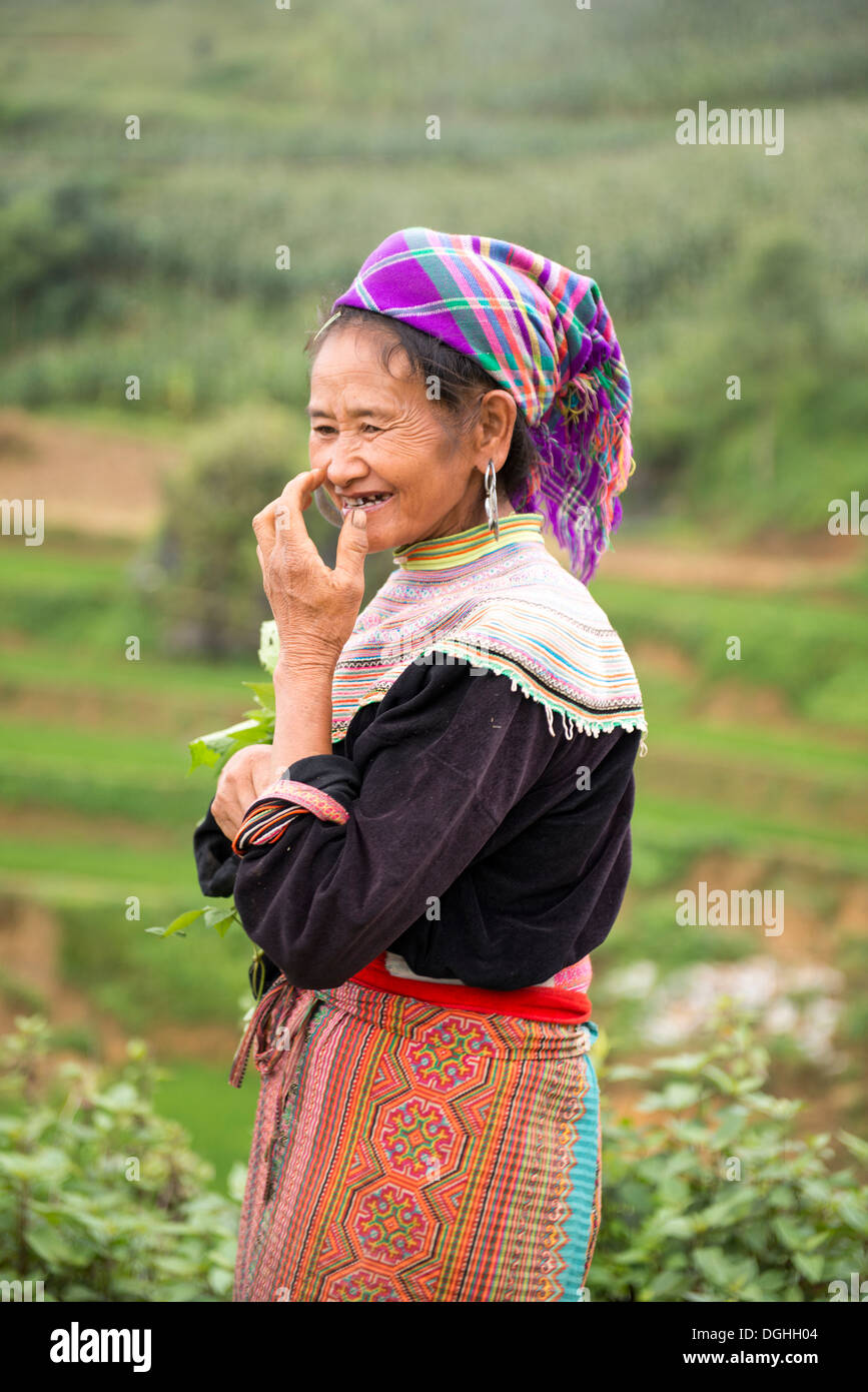 Minority Flower Hmong woman in the hill, Bac Ha, Lao Cai, Vietnam Stock ...