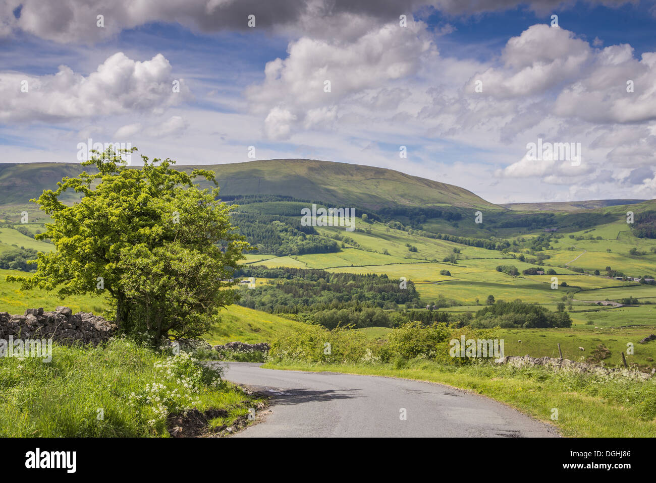 View of road and countryside, Hodder Valley, Hall Hill, Forest of ...