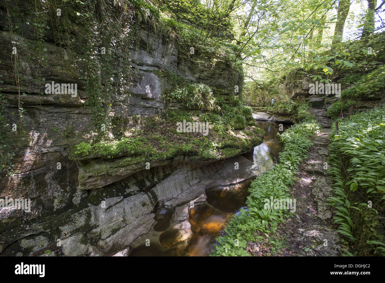 How stean gorge hi-res stock photography and images - Alamy
