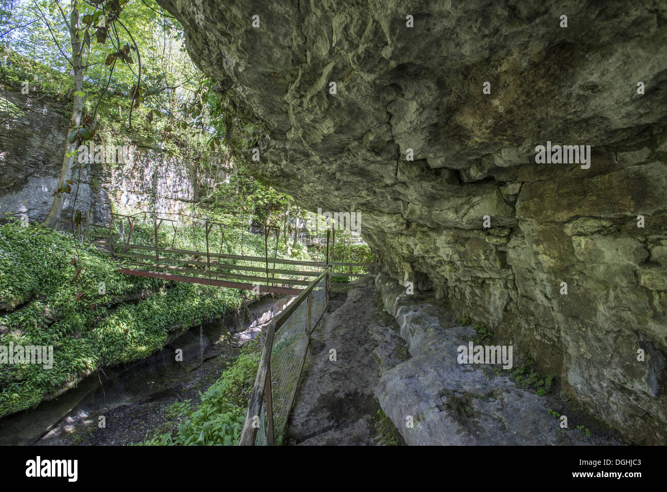 How Stean Gorge Yorkshire High Resolution Stock Photography and Images ...
