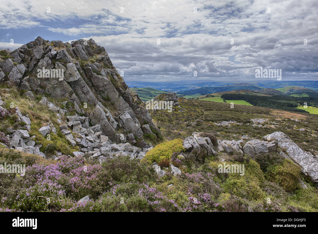 View of shattered rock on quartzite ridge and hill, Stiperstones ...