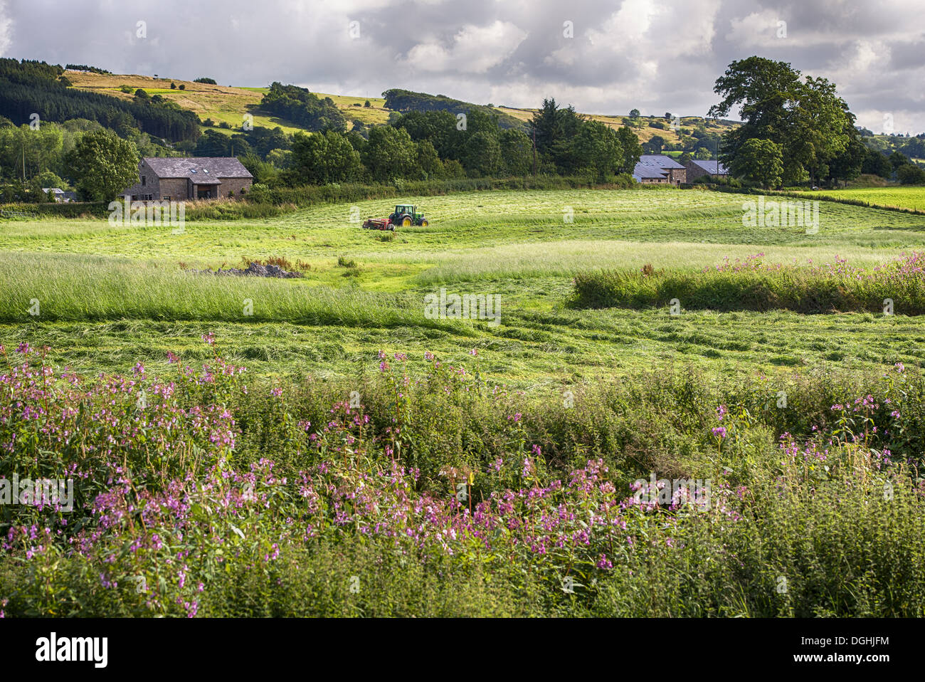 Mowing fields hi-res stock photography and images - Alamy