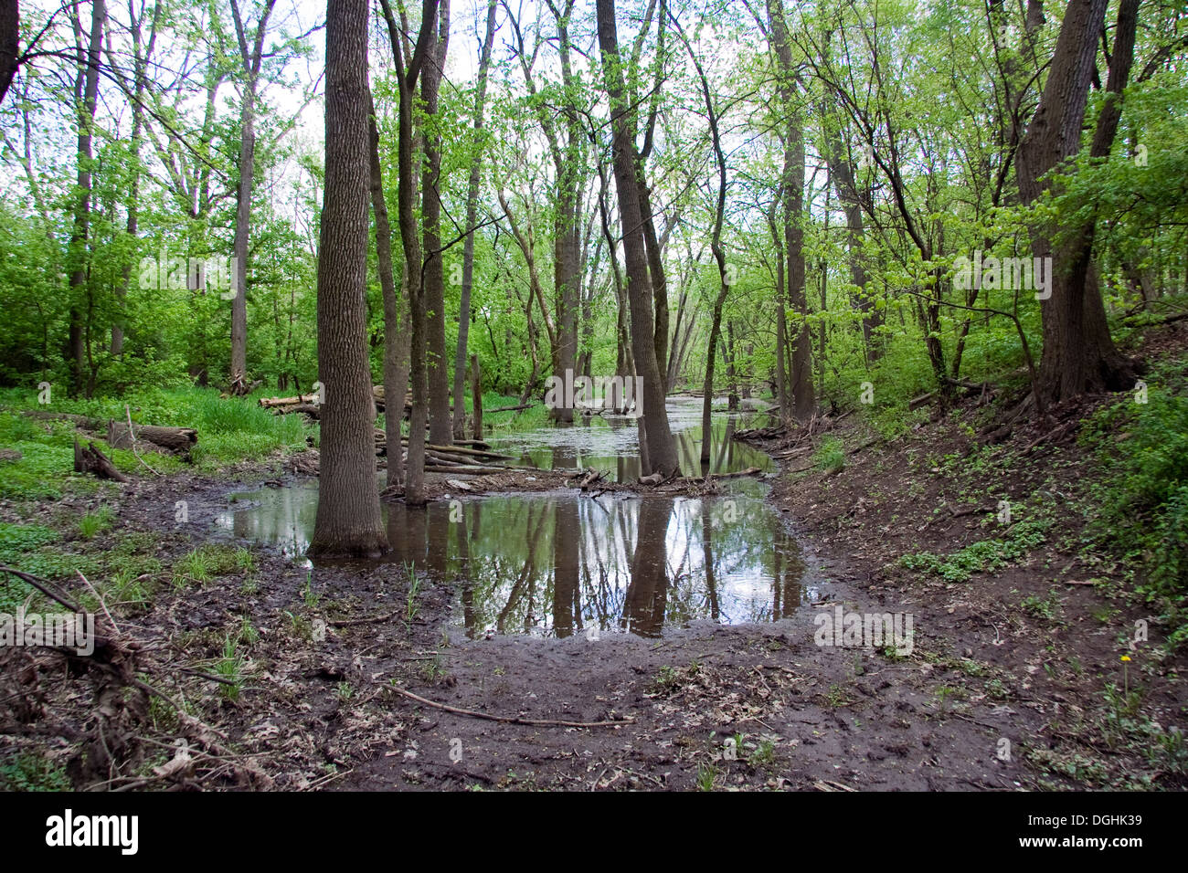 Salt creek hi-res stock photography and images - Alamy