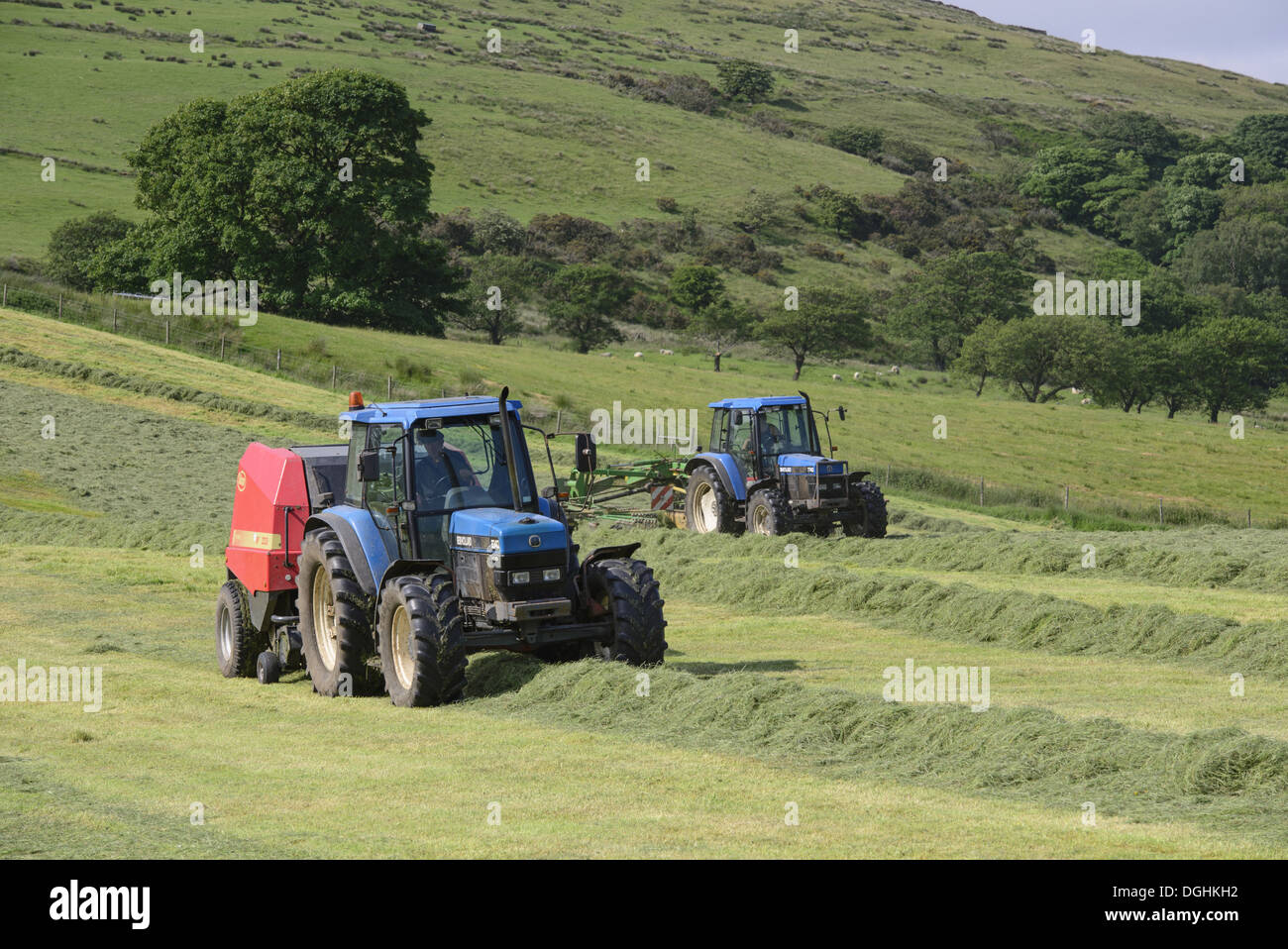 Tractors rowing and baling haylage in field, Chipping, Forest of ...