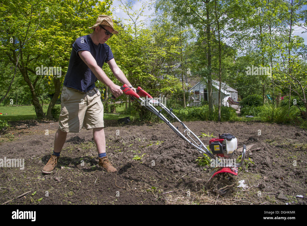 Man using rotavator in garden, Chipping, Lancashire, England, June ...