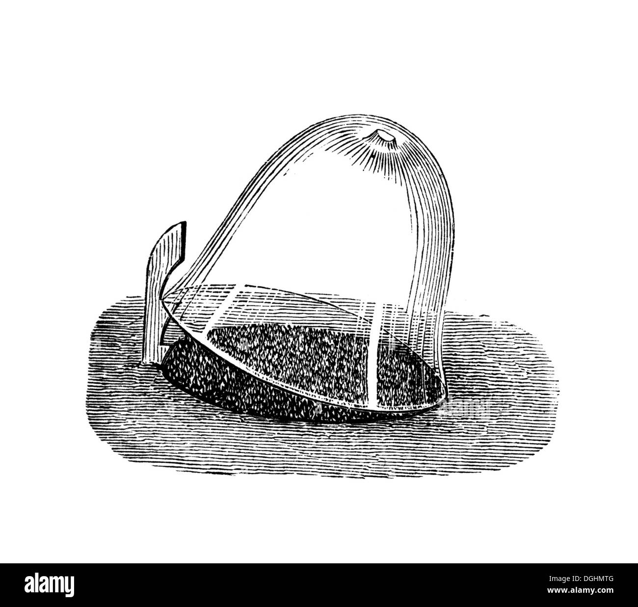 A lange Cut Out Stock Images & Pictures - Alamy