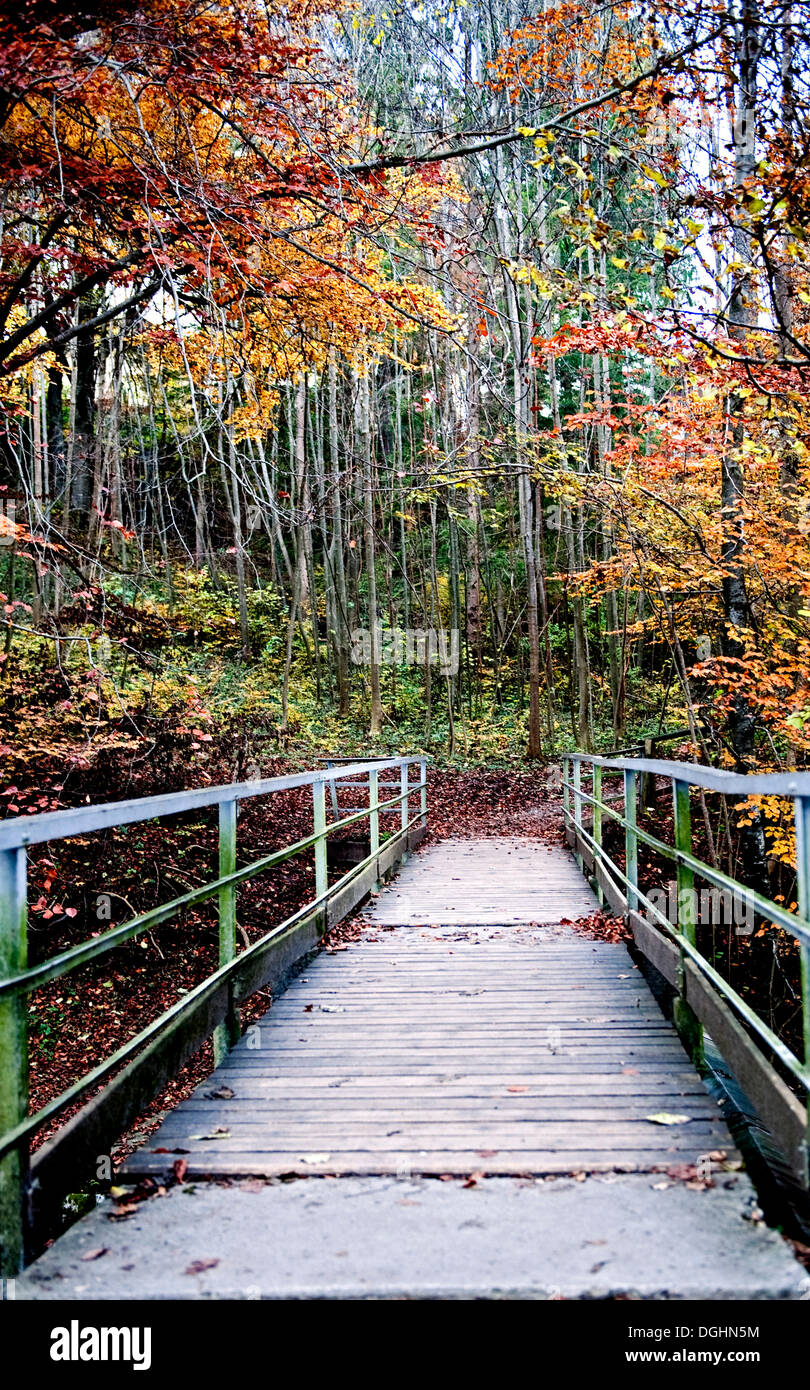 Piers path pathway trees hi-res stock photography and images - Alamy