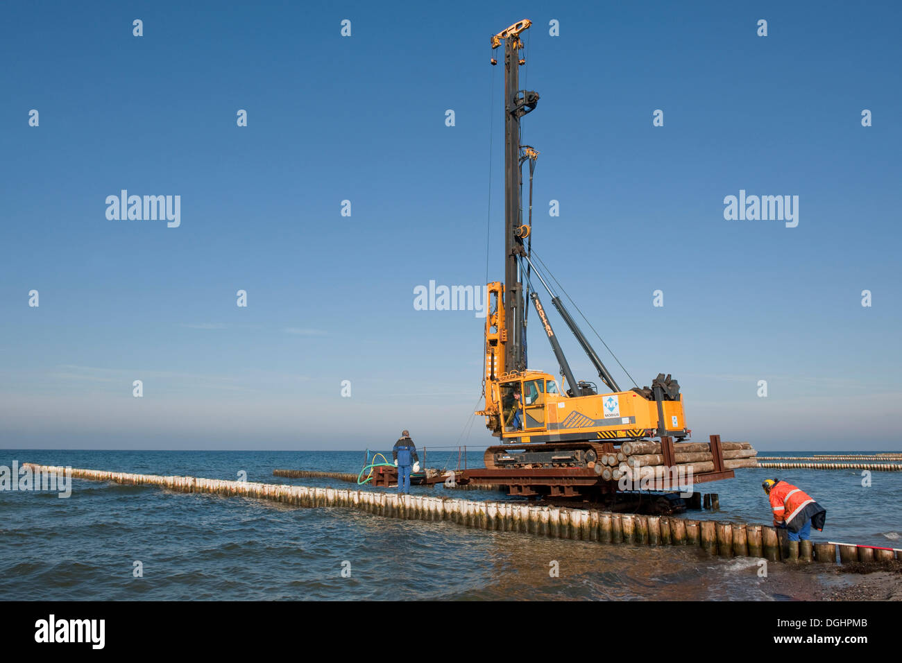 Construction of a groyne with wooden poles for coastal protection ...