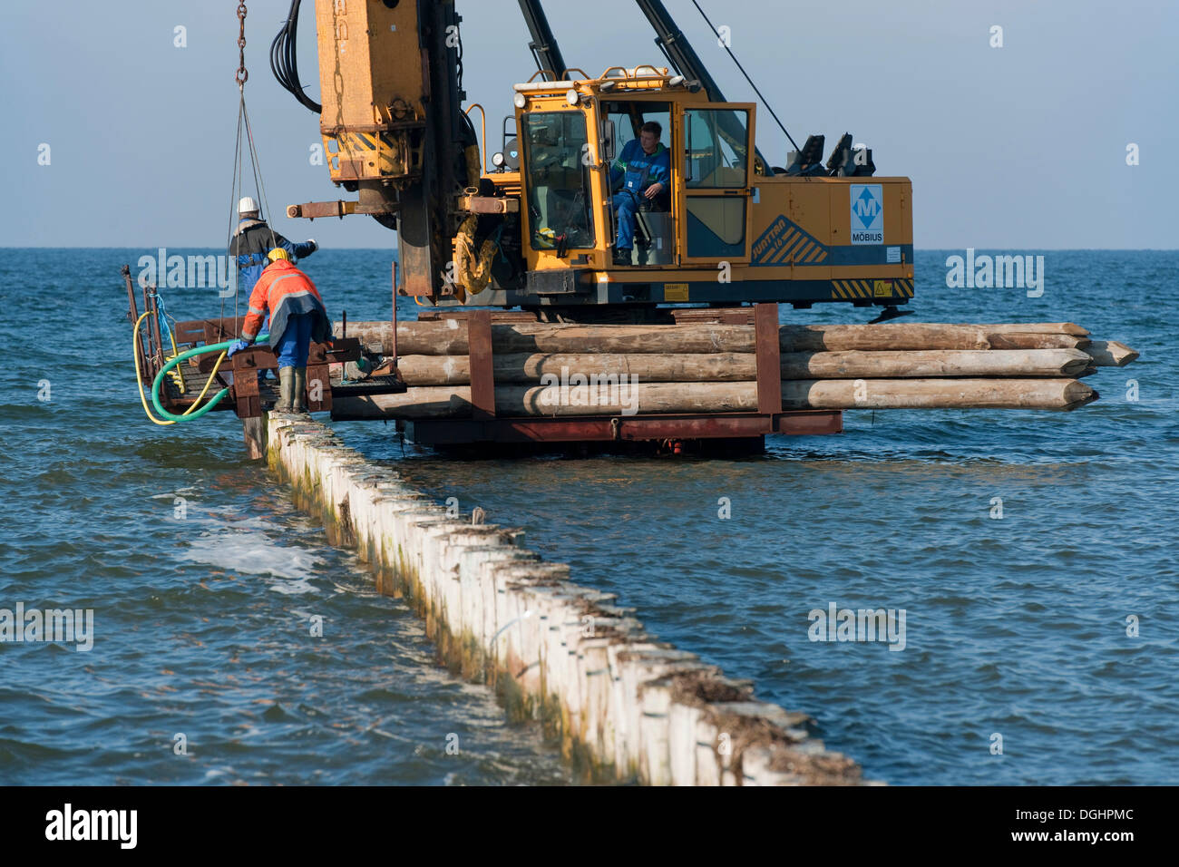 Construction of a groyne with wooden poles for coastal protection ...