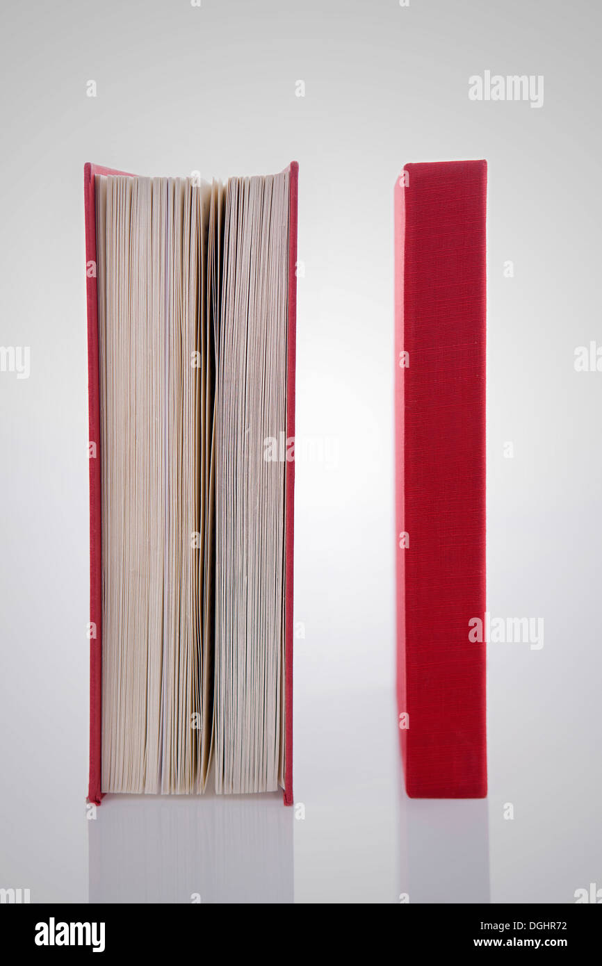 two red books standing Stock Photo - Alamy