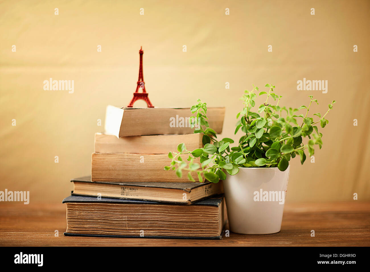 old looking books in a pile next to a plant Stock Photo - Alamy