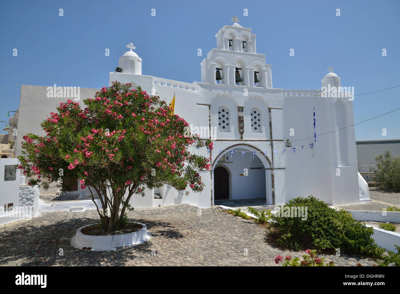 Oleander nerium oleander greece europe hi-res stock photography and ...