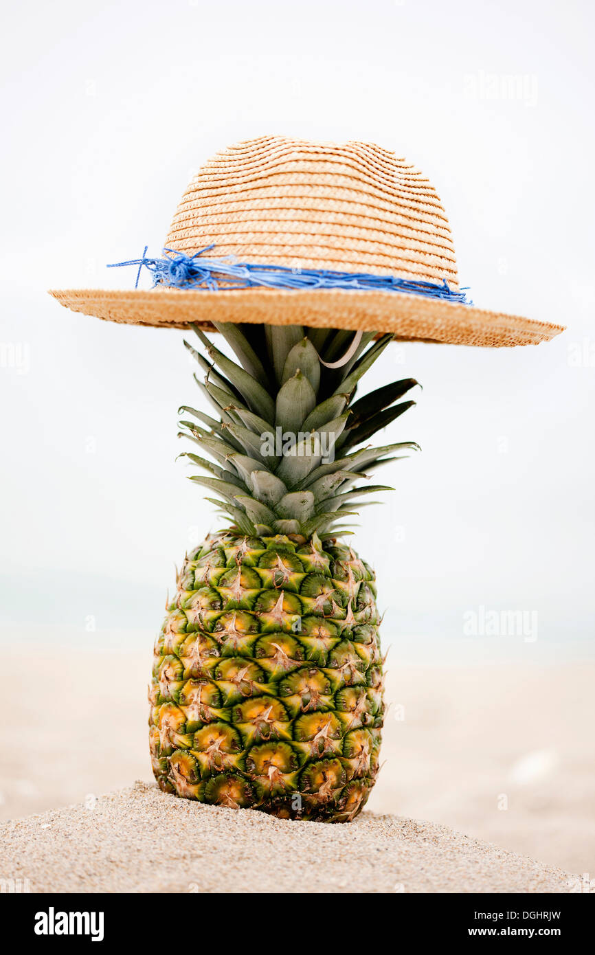 Pineapple feature hi-res stock photography and images - Alamy