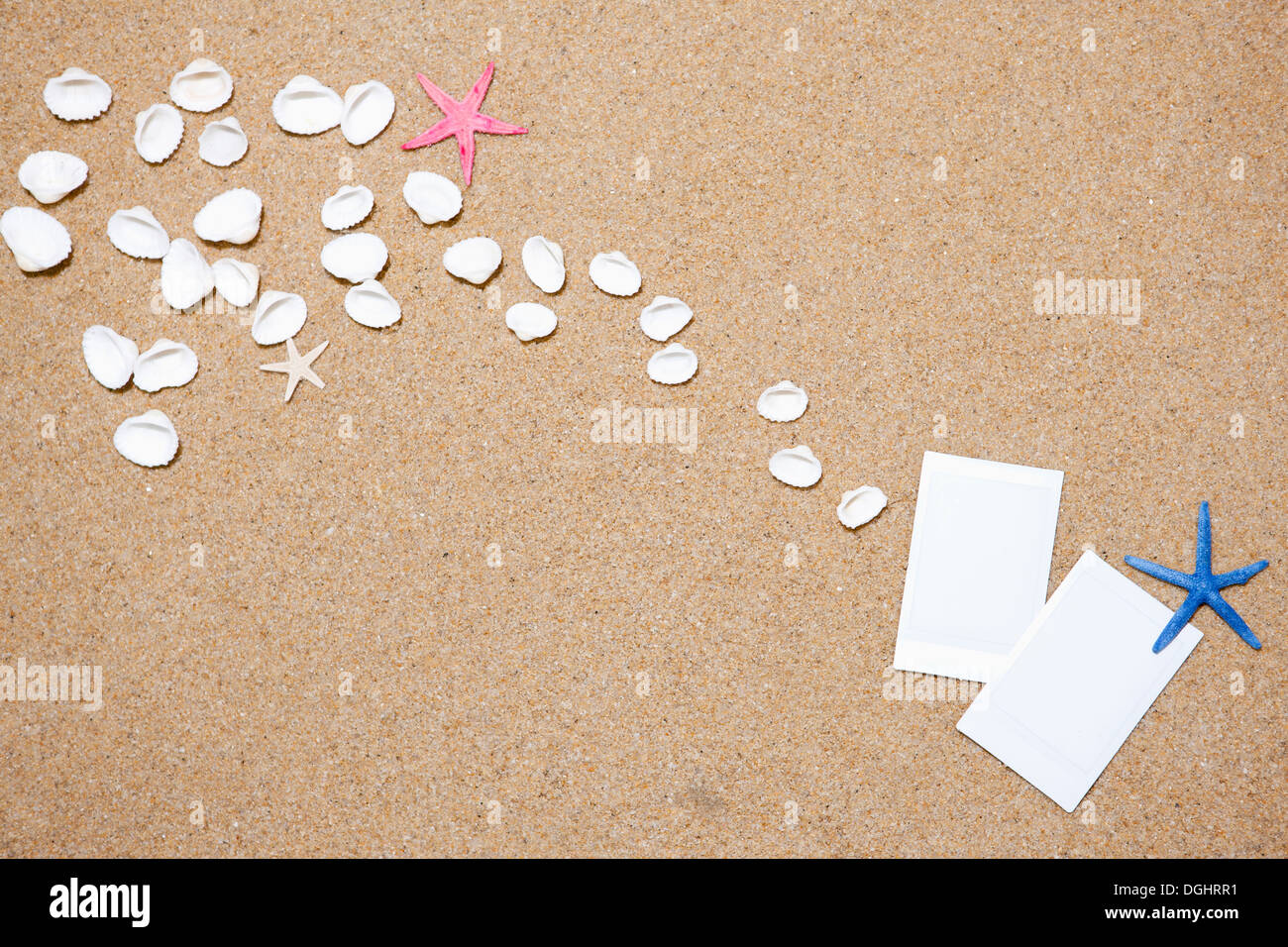 a trail of sea shells on a beach Stock Photo - Alamy