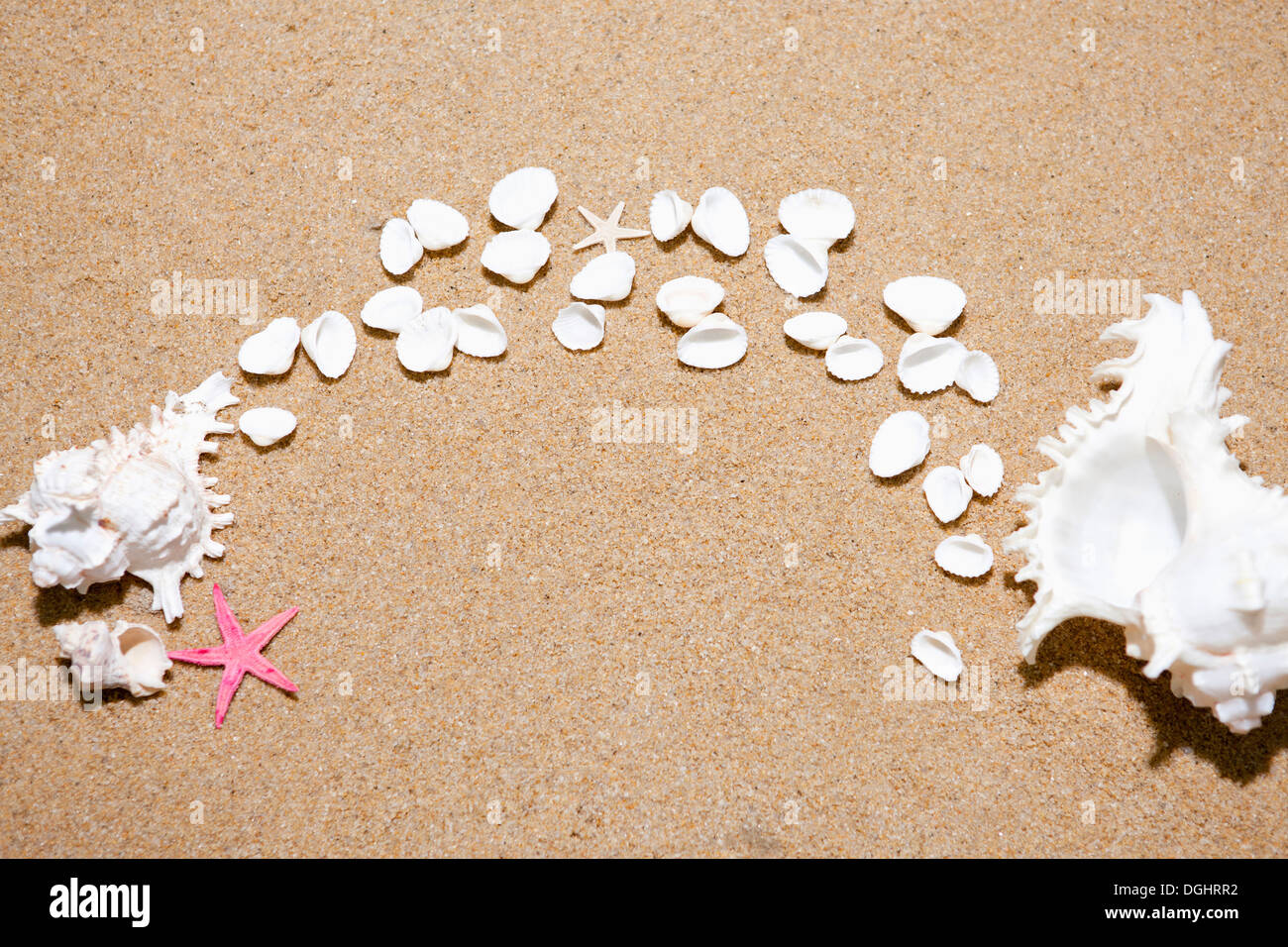 a trail of sea shells on a beach Stock Photo - Alamy