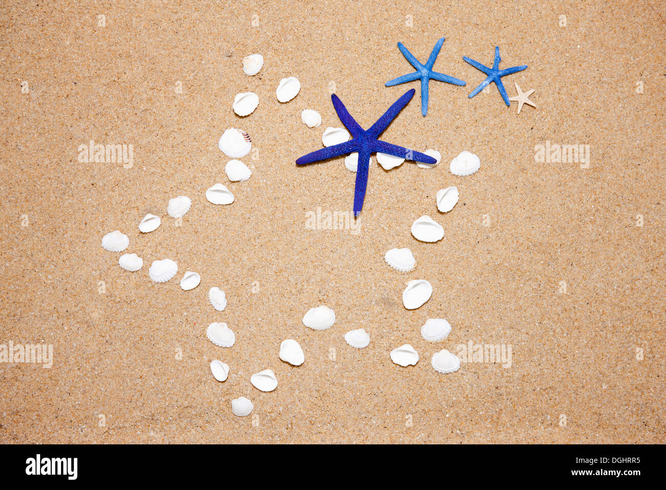 a star of sea shells on a beach Stock Photo - Alamy