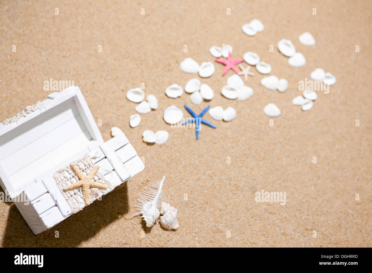 a chest and sea shells on a beach Stock Photo - Alamy