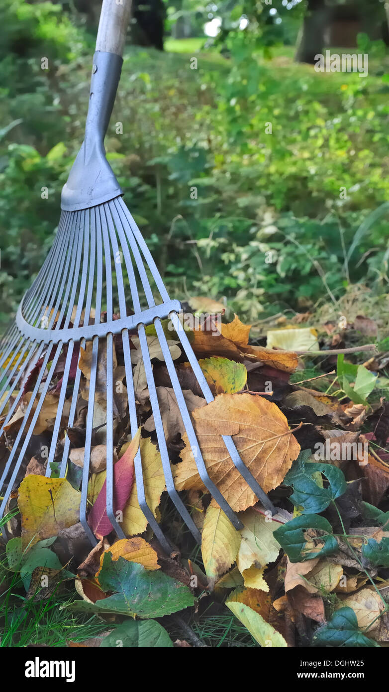 pick up a rake for dead leaves Stock Photo - Alamy