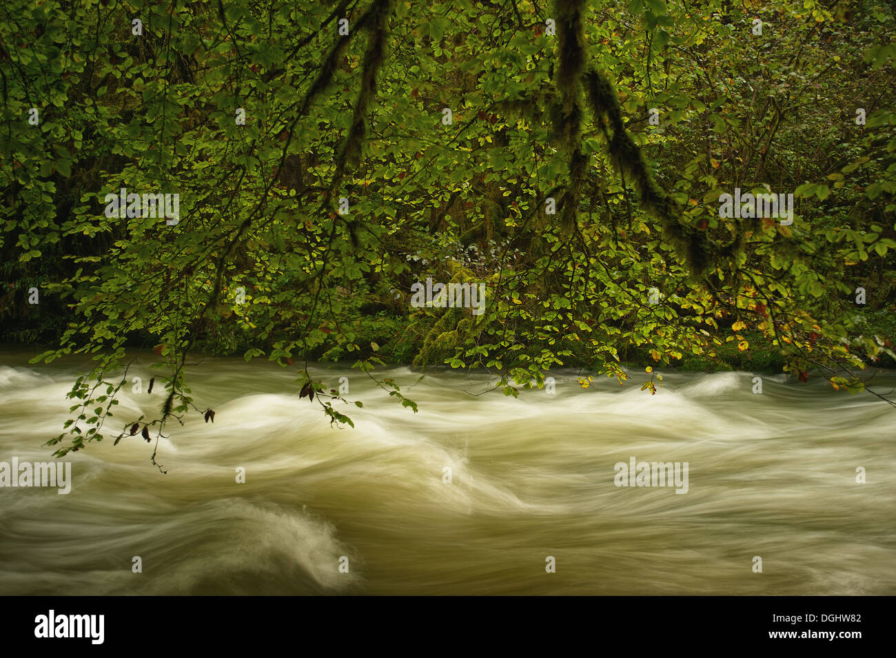 Water flowing under hi-res stock photography and images - Alamy