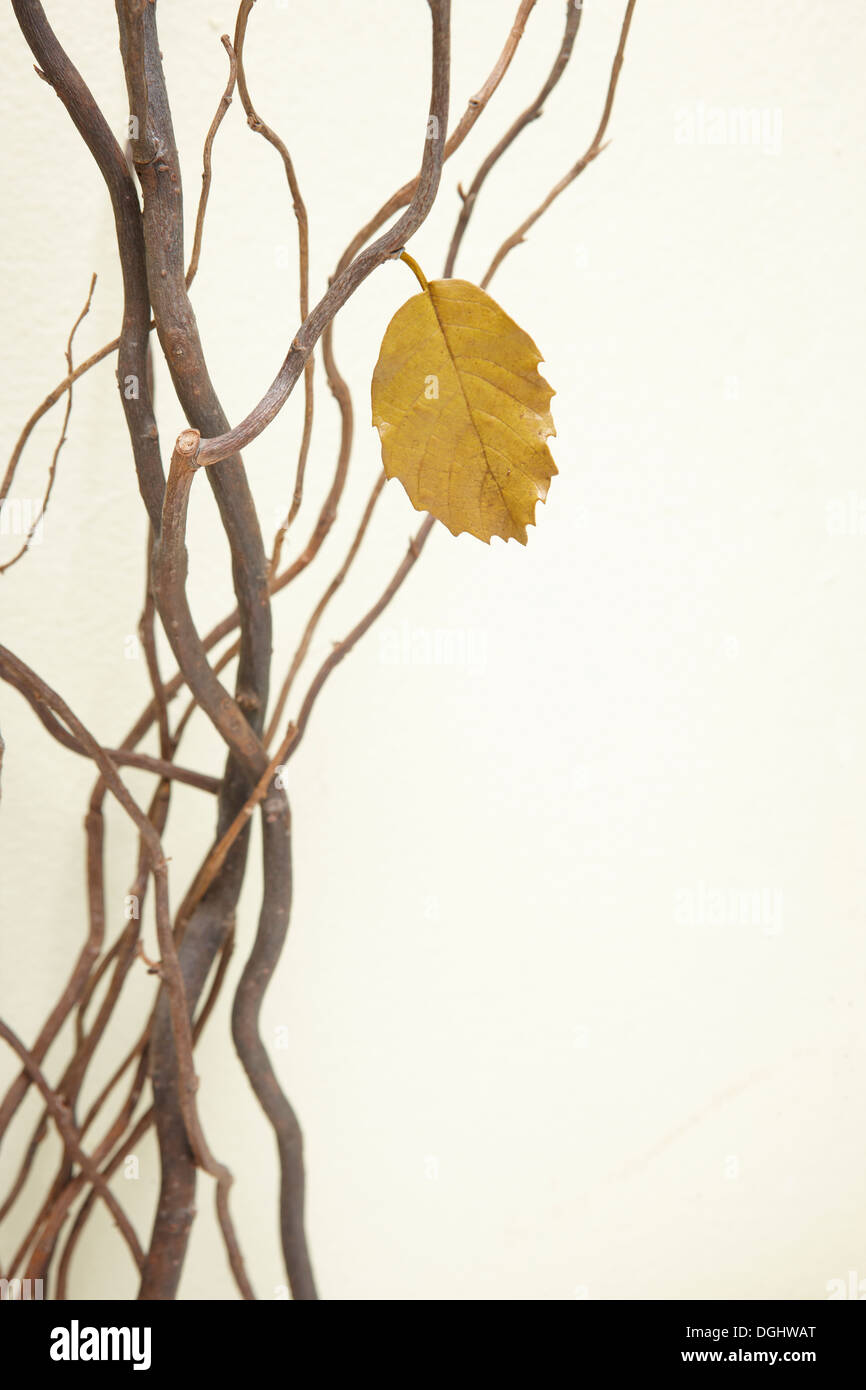 wooden branch decorations Stock Photo - Alamy