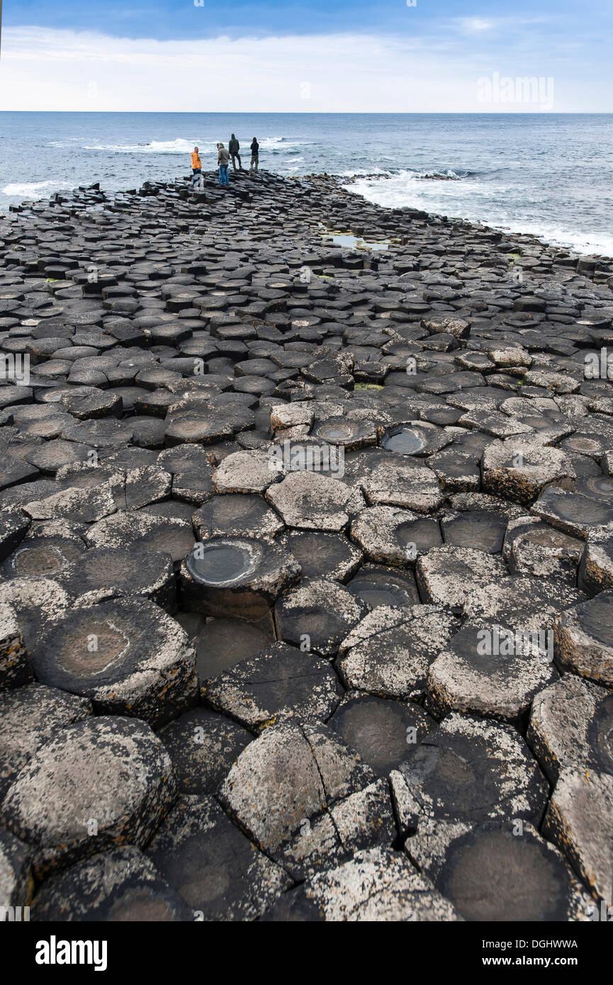 Giants causeway basalt columns on coastline hi-res stock photography ...