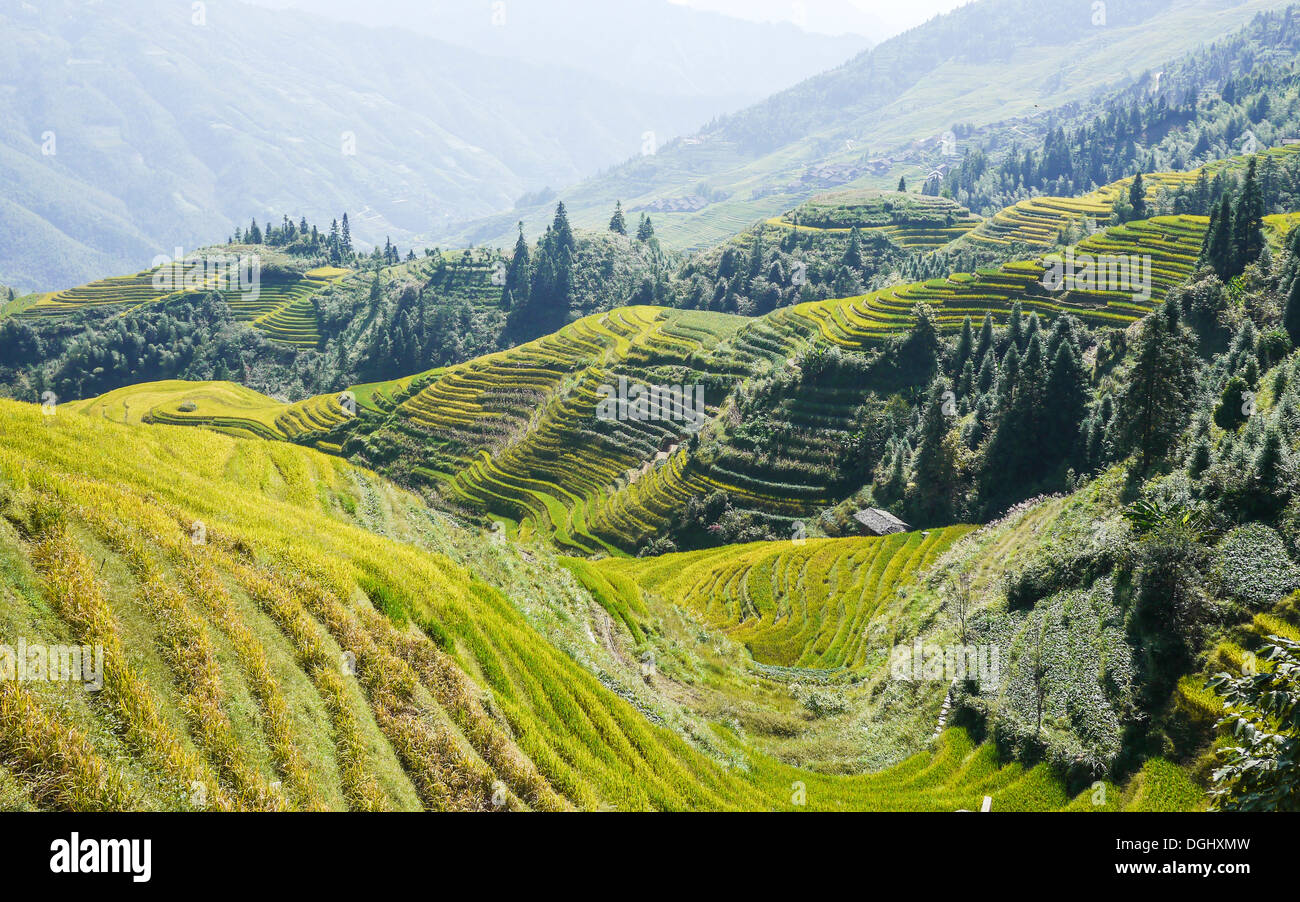 China, Guilin landscape with Ping An Rice Terraces Stock Photo - Alamy