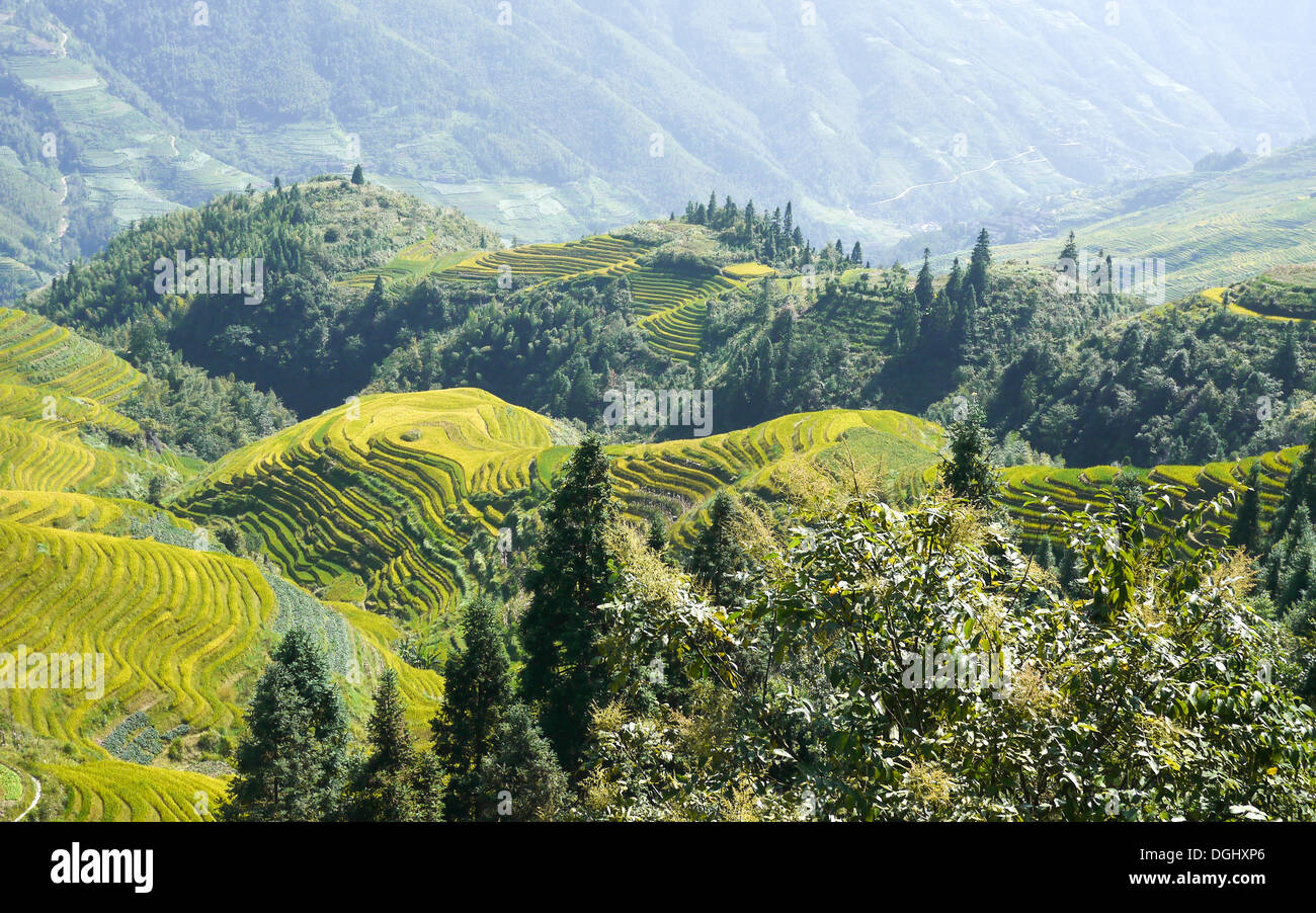 China, Guilin landscape with Ping An Rice Terraces Stock Photo - Alamy