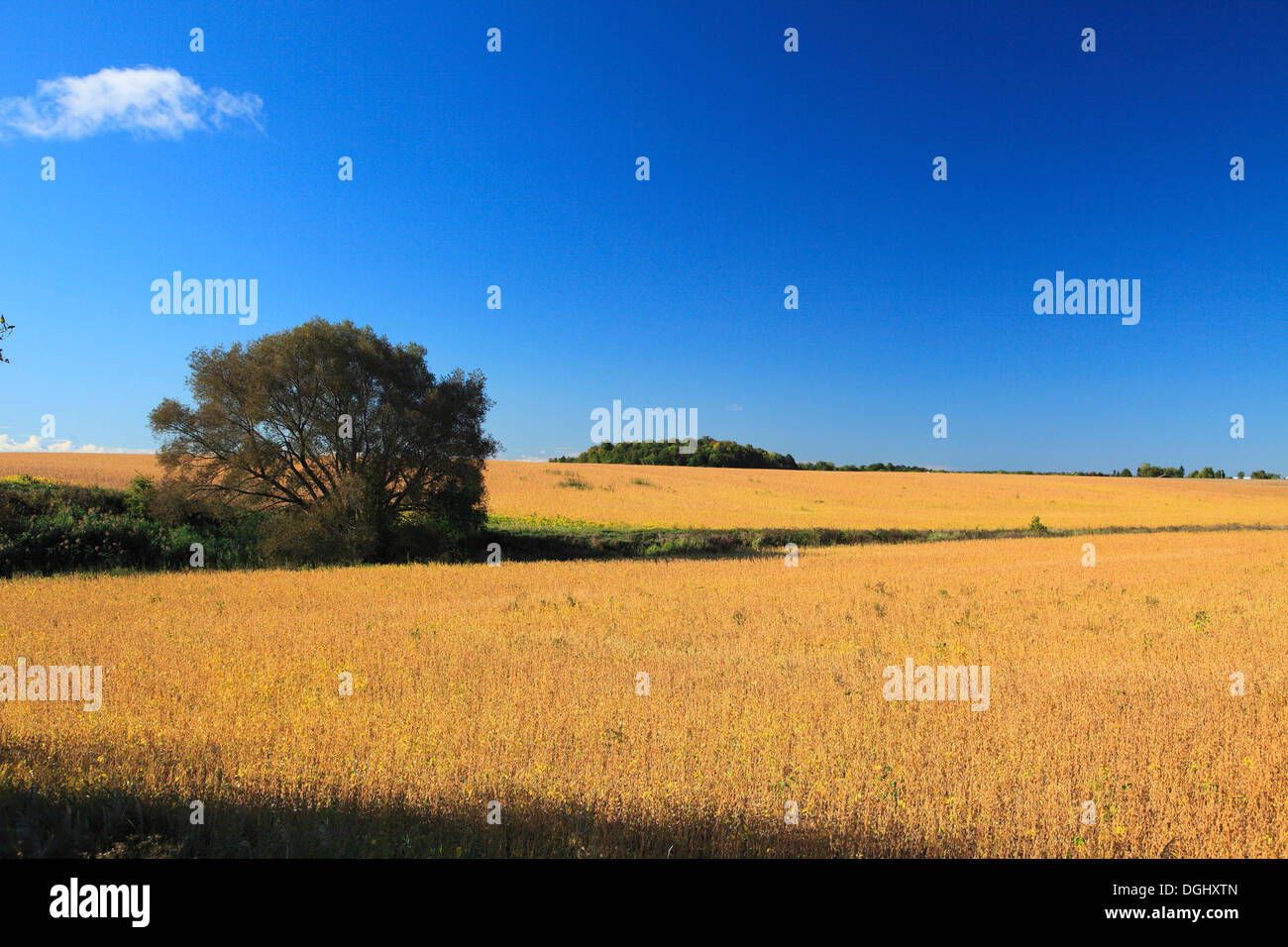 Farmland, Saint Martine, Quebec, Canada Stock Photo - Alamy