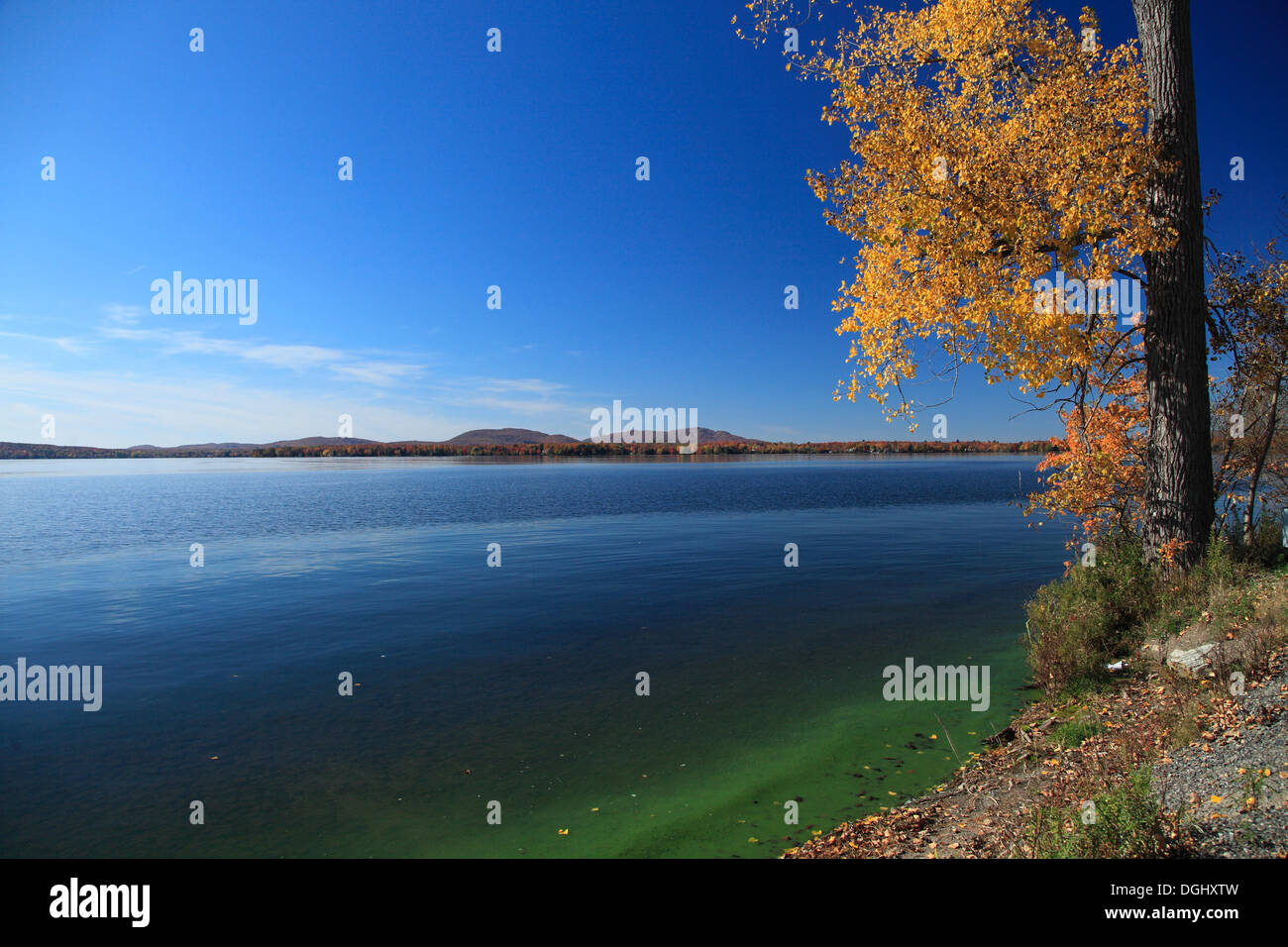 Brome lake canada hi-res stock photography and images - Alamy