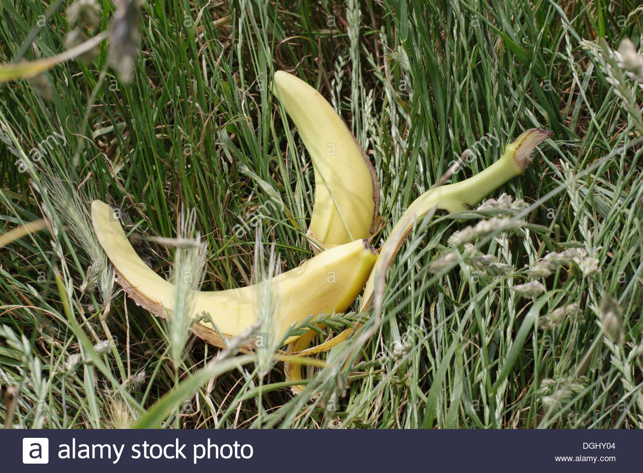 Discarded Fruit High Resolution Stock Photography and Images - Alamy