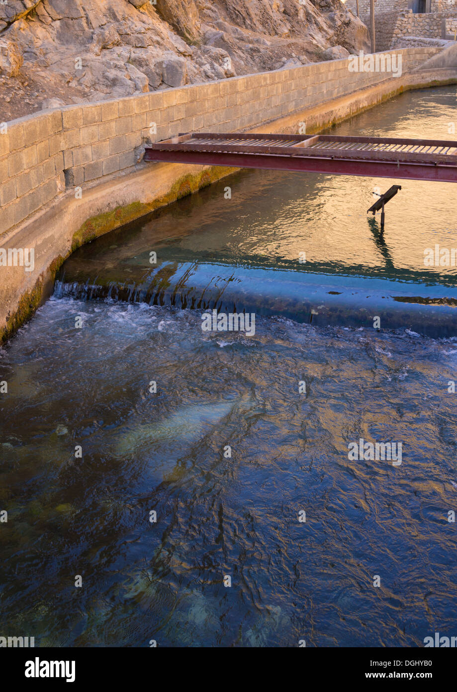 Fish of iran hi-res stock photography and images - Alamy