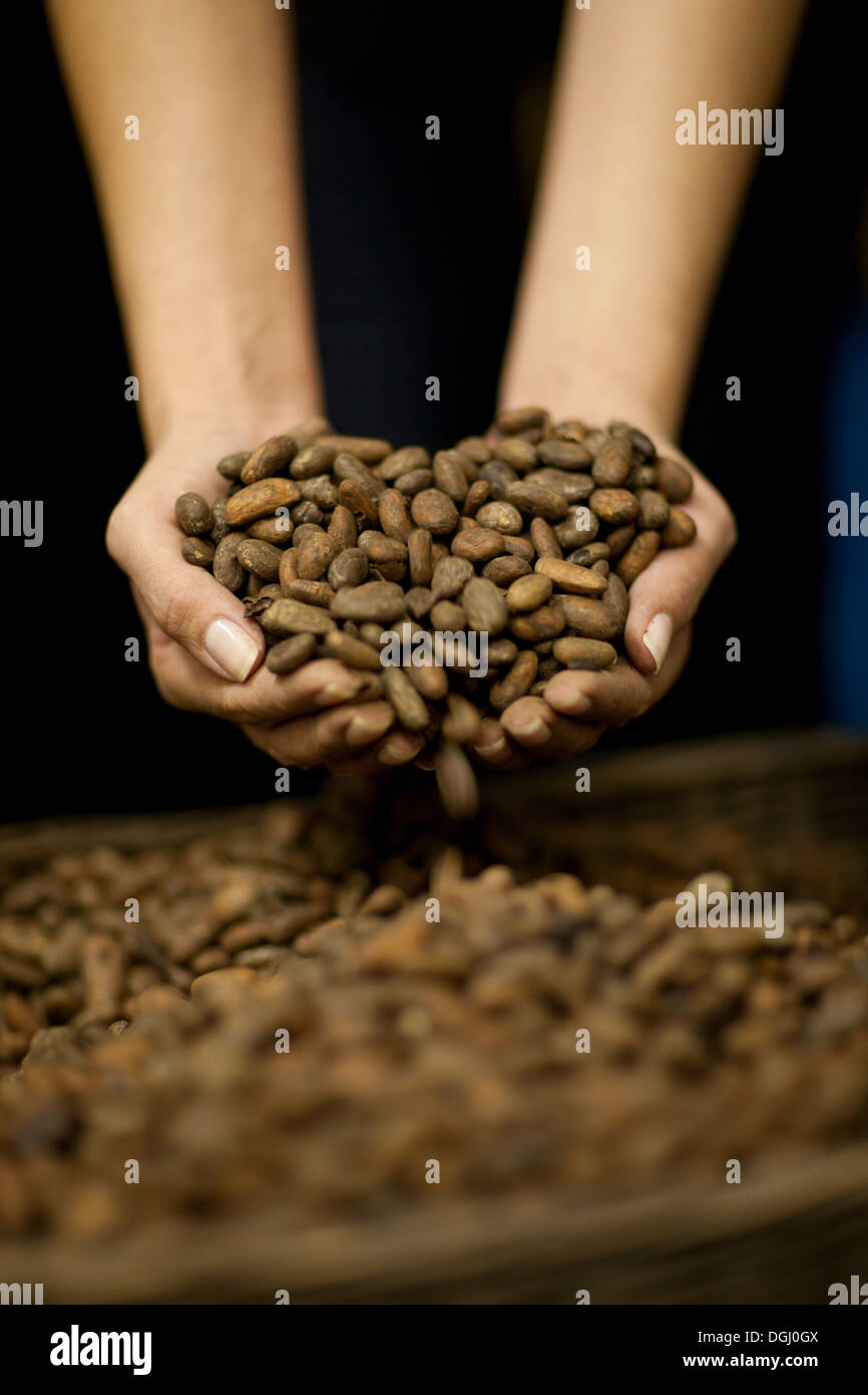 Cupped hands with handful of cocoa beans Stock Photo - Alamy