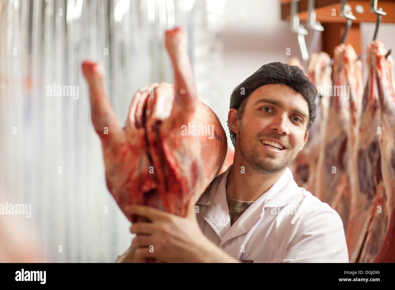 Butcher holding carcass over shoulder Stock Photo - Alamy