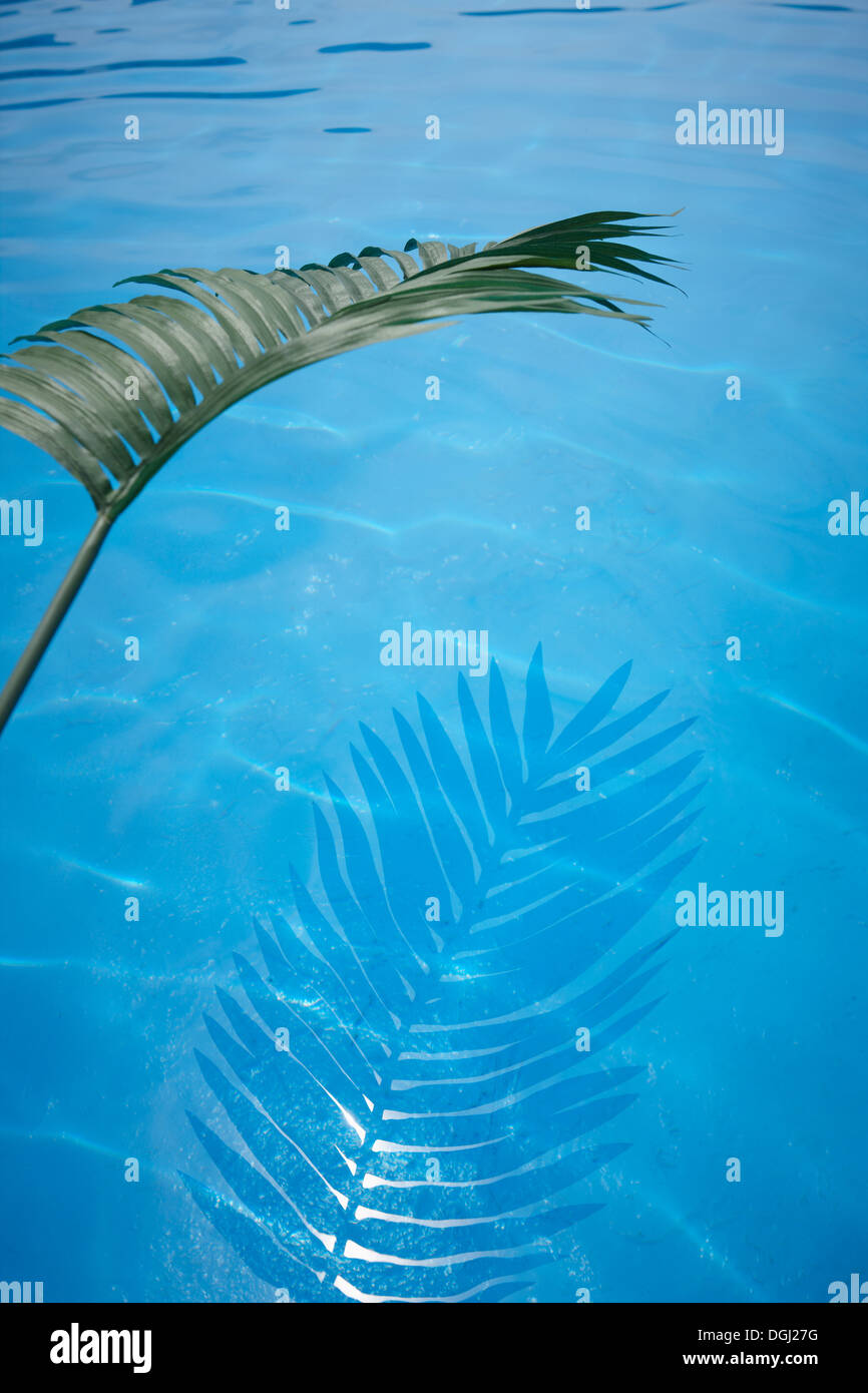 Water projection hi-res stock photography and images - Alamy