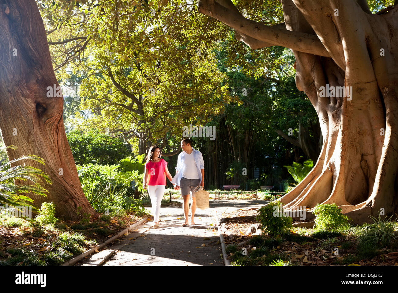 Young trees africa hi-res stock photography and images - Alamy
